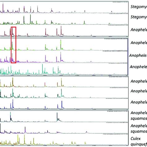 Examples Of The Spectra Of The 10 Species Laboratory Spectra Species Download Scientific
