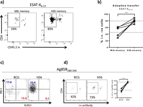 Antigen Specific Cd4 T Cells Primed By Mycobacteria Are Less Efficient