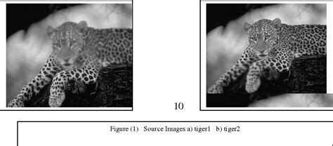 Figure 6 From Multi Focus Image Fusion Using Statistical Approaches