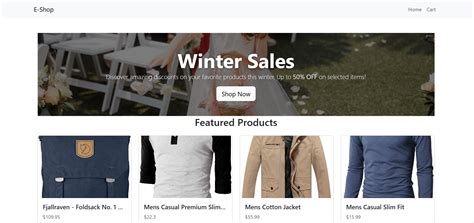 Creating Ecommerce Website In Angular 19 With Bootstrap 5 Part 1