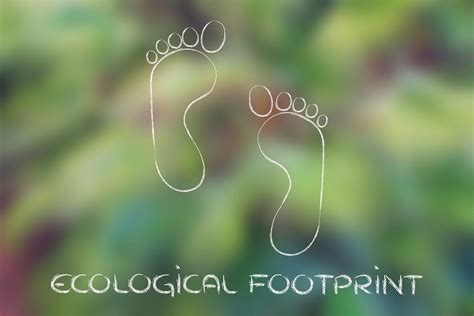 What Is Ecological Footprint Energy Theory