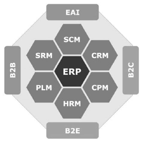 5 The Conceptual Framework For Erp Ii Download Scientific Diagram
