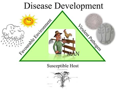 Rice Diseases And Their Management Pptx