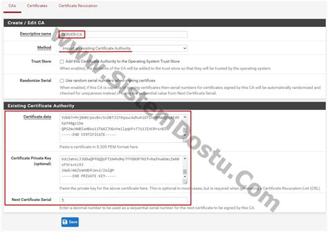 PFSense Peer to peer VPN Sistem ve Network Dünyasına Hoşgeldiniz