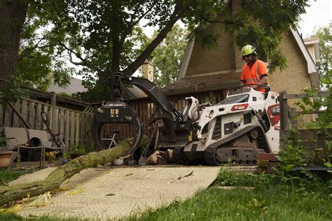 Tree Consulting Services Clc Tree Services