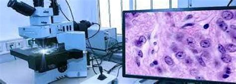 Sigtuple Ai Powered Digital Microscopy Digital Pathology 100x At Best