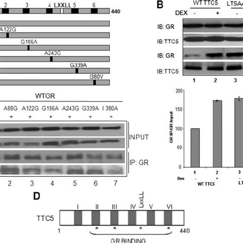Binding Affinities Calculated And Experimental Differences In Binding Download Scientific