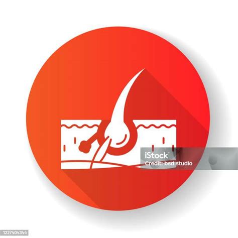 여포 빨간색 플랫 디자인 긴 그림자 문말 아이콘입니다 손상된 모발 뿌리 피부 조직에 현미경 모양 표피 문제 헤어 케어 및 피부과 탈모 치료 실루엣 Rgb 컬러 일러스트