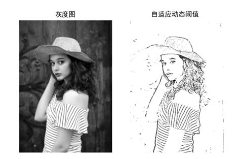 7 1 python图像处理之图像分割 自适应阈值 自适应阈值原理 csdn博客