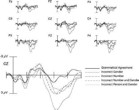 Erp Waveforms Showing Grand Average Responses Elicited By The
