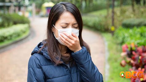 Essential Tips To Safeguard Your Health From Smoke And Smog During Forest Fires Bcg