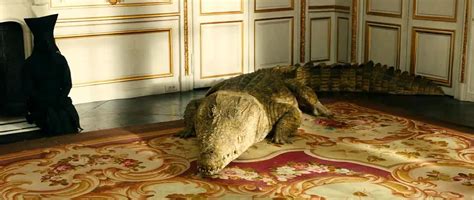 Crocodile Vore Video Thisvid Com