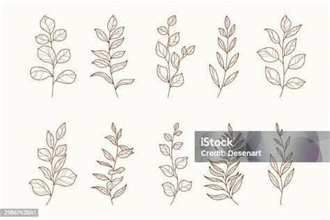 윤곽선 나뭇 가지 실루엣 손으로 그린 스타일 흰색 배경에 고립 된 꽃 허브 잎이 있는 식물 식물 심플한 검정 잉크 녹지 0명에 대한 스톡 벡터 아트 및 기타 이미지 Istock