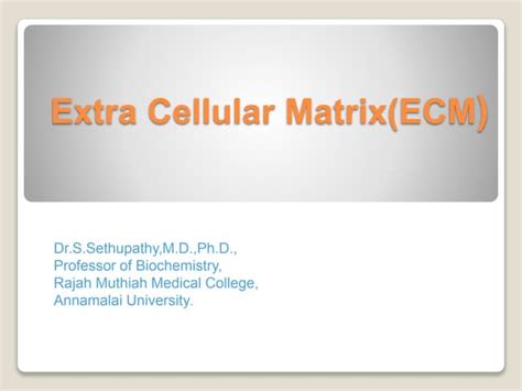 Extracellular Matrix And Its Components Pptx