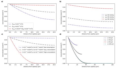 Example Simulations Showing Steady State Oxygen Concentration As A