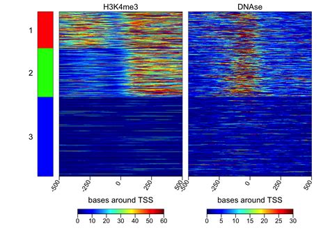65 Visualizing And Summarizing Genomic Intervals Computational