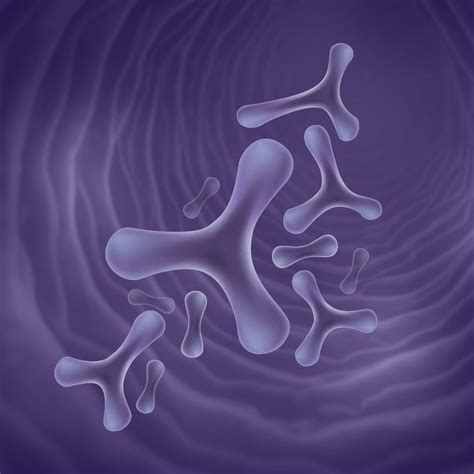 Bifidobacterium lactis – DR.VEGAN