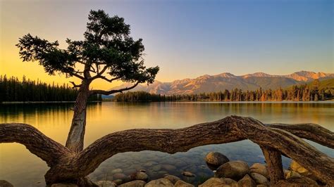 Relaxing Nature Wallpapers 4k Hd Backgrounds On Wallpaperbat