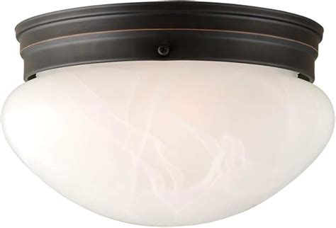 2 Bulb Ceiling Light Fixture