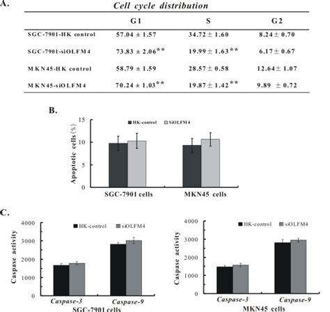 Assessment Of Cell Cycle Distribution Apoptotic Cells And Caspase 39