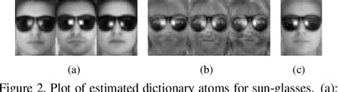 Figure 2 From Multiple Instance Dictionary Learning Using Functions Of Multiple Instances