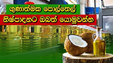 ගුණාත්මක පොල්තෙල් නිෂ්පාදනට ඔබත් යොමුවන්න Youtube