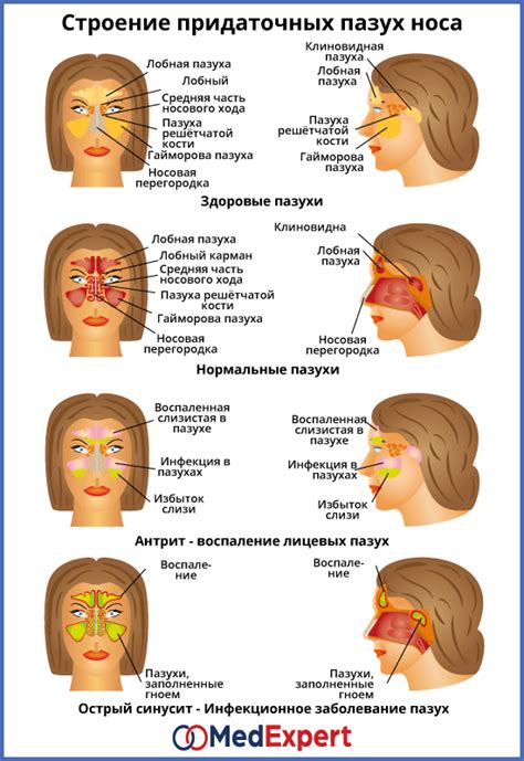 Mastoiditis Antibiotic Guidelines