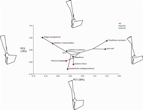 Bivariate Plot Of Species Means Of Principal Components 1 And 2 The Download Scientific
