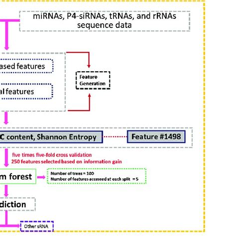 general workflow of our pipeline download scientific diagram