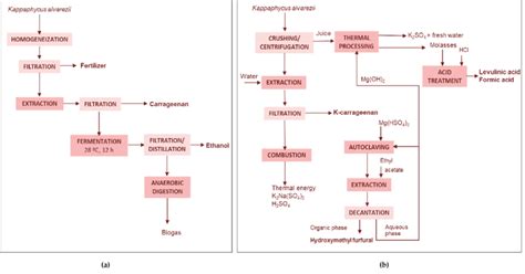 flow diagram of the biorefineries for a the co production of