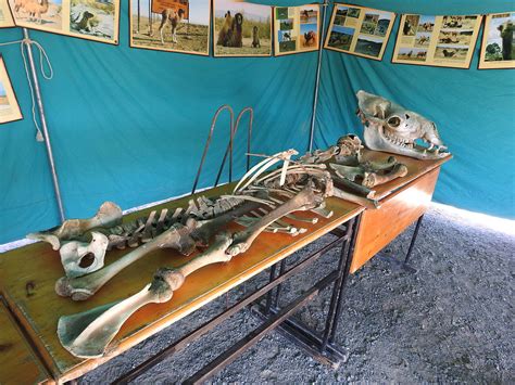 “Говийн гайхамшигт 6” г хамгаалахад хоёр тэрбумыг зарцуулжээ Wwf