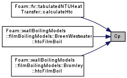 OpenFOAM API Guide BasicThermo Class Reference