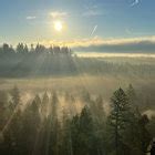 Red Sex Re Strung Feat Rakhi Singh Vessel Rakhi Singh Paplu