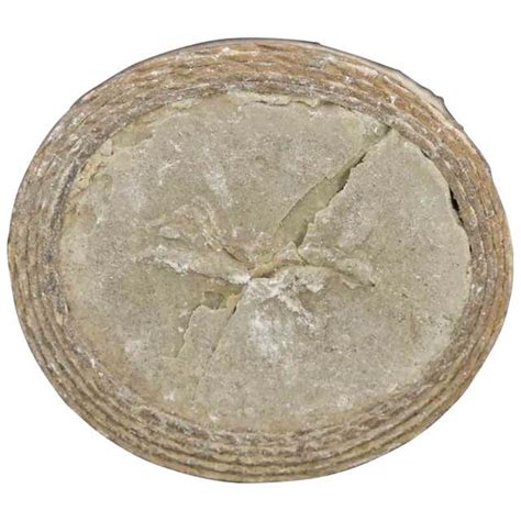 Ancient Neoclassical Cameo Intaglio With Plexiglass Case 19th Century