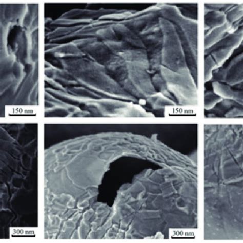 Models Of The Contact Mechanism Of Intergrowth Of Hollow Masses Download Scientific Diagram