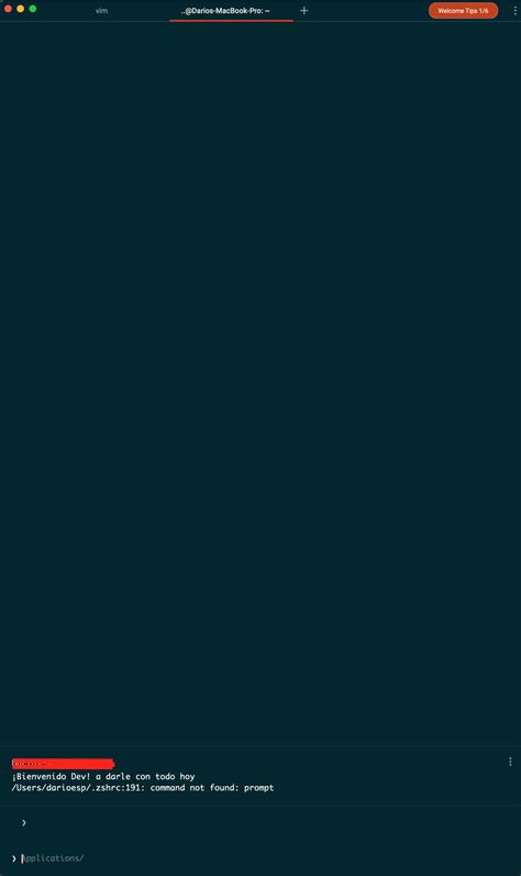 Fix Typewritter Used For Zsh · Issue 1568 · Warpdotdevwarp · Github