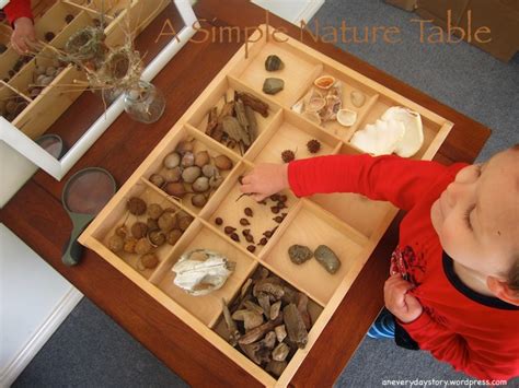 mathematical thinking classification and sorting learning through