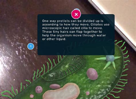 Assemblr Edu Fun And Interactive Learning In 3d And Ar