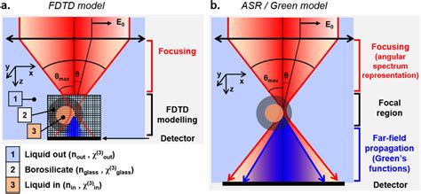Simulation Models A Schematic Representation Of The FDTD Approach Download Scientific