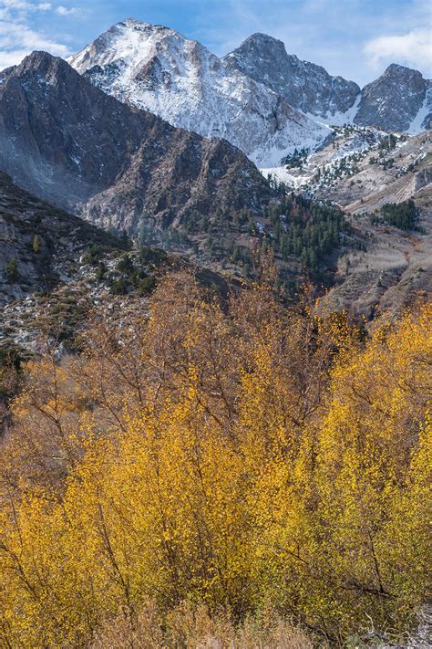 Mcgee Pass Sagetosummit