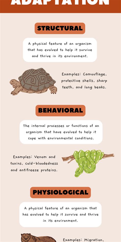 Types Of Adaptation Infographic Biology Reference Chart Free And Editable In Canva In 2025