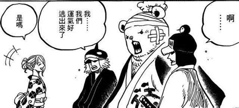 海贼王 罗被霍金斯抓走，却命令手下向路飞隐瞒真相贝波