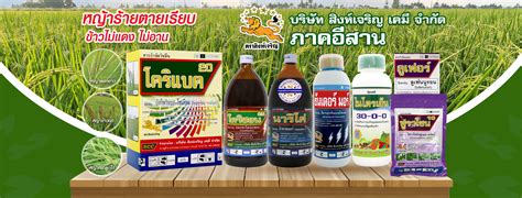 บริษัทไทยเซ็นทรัลเคมี บริษัทไทยเซ็นทรัลเคมี จำกัด มหาชน