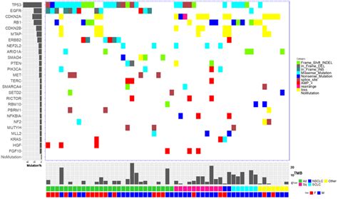 Heatmap Of Cgp Panel In 60 Cases Heatmap Of The Mutation Pattern Of Download Scientific