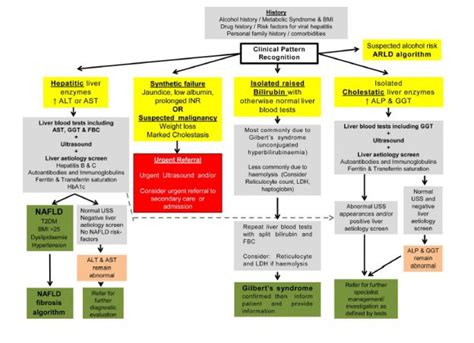Managing Abnormal Liver Function Tests Bsg 2019 Nasgp