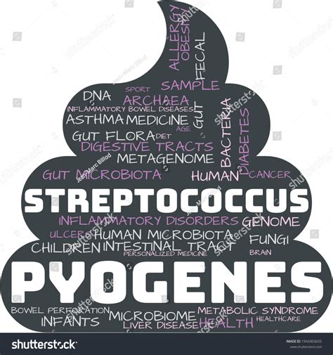 Streptococcus Pyogenes Related Concepts Illustrated Wordcloud Stock