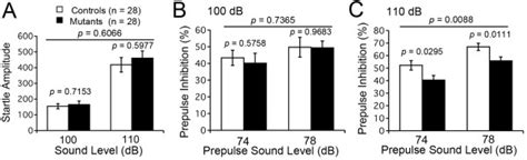 Normal Startle Response And Decreased Ppi In M4r Ko Mice A M4r Ko