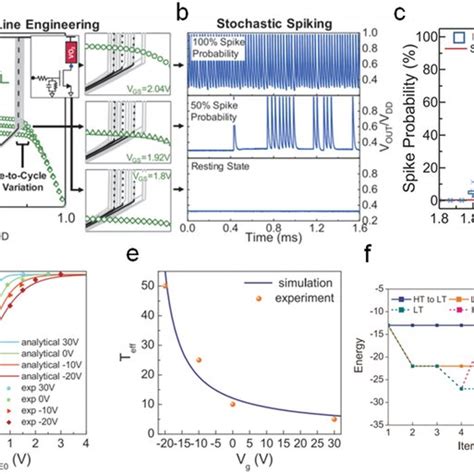The Mrs In The Glabrous Human Skin Which Enable The Tactile Sensation Download Scientific