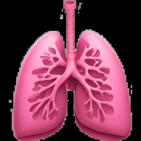 Lung Anatomy Pink Emoji Ai Emoji Generator