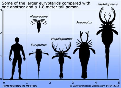 Episode 205 Sea Scorpions And The Late Ordovician Mass Extinction